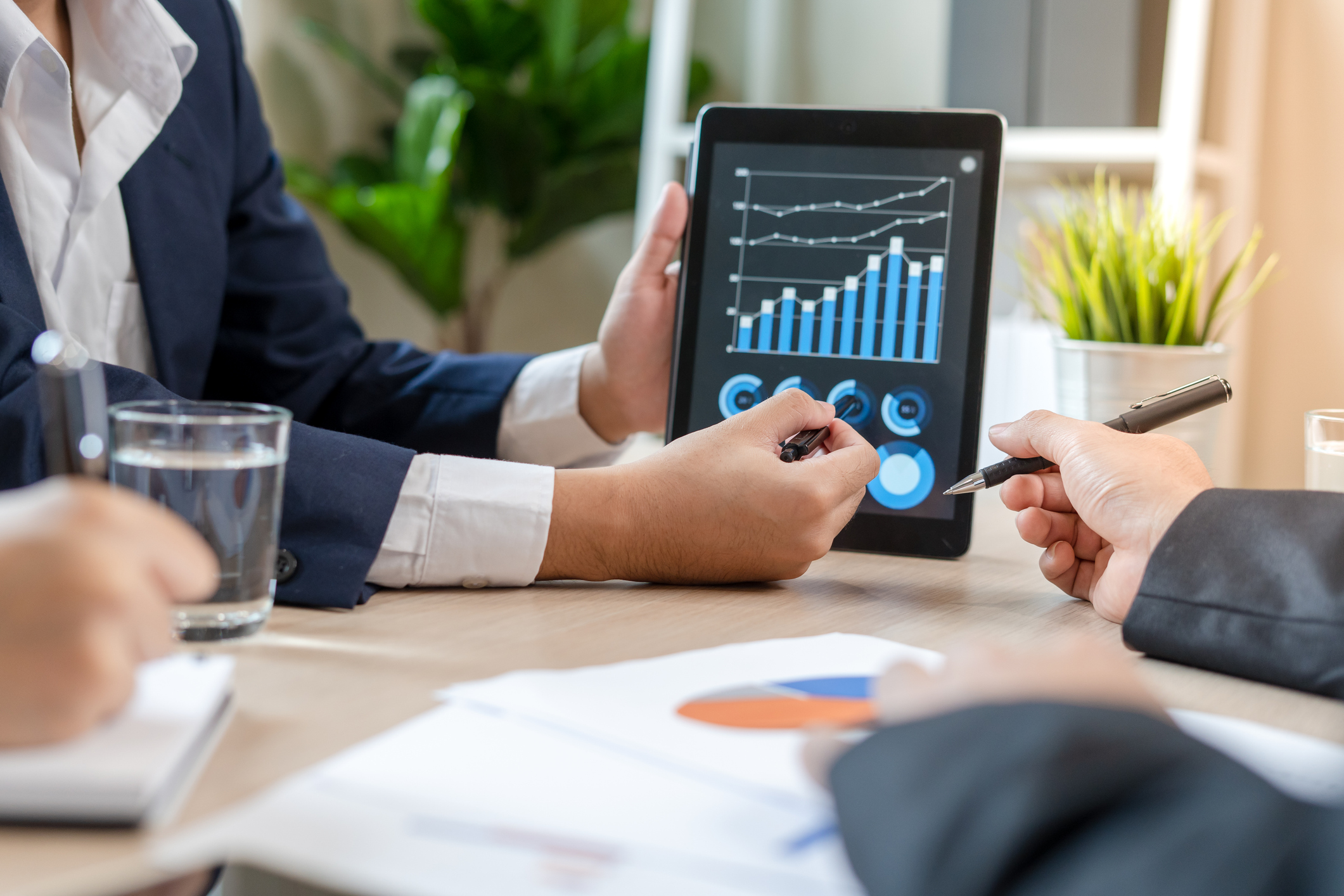 Half year review - Stewardship Capital
